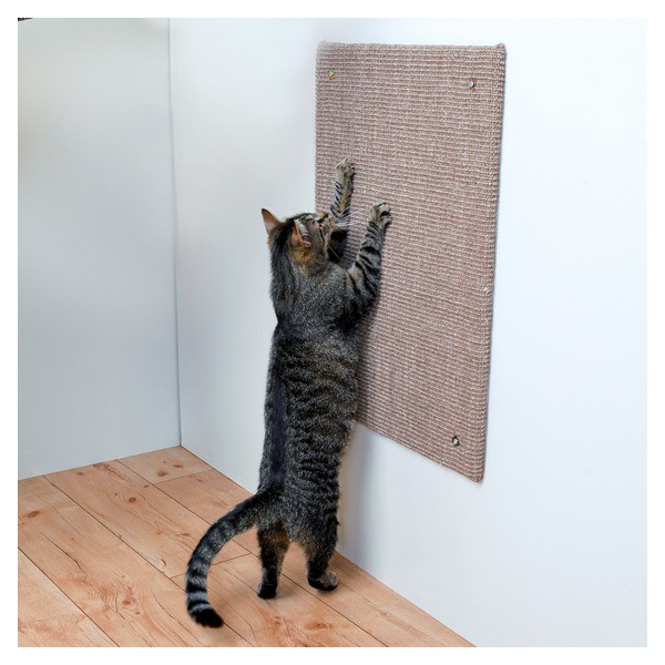 griffoir-mural-pour-chat-xxl- Refuge Mary Sue