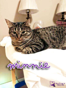 Minnie ADOPTÉE NON DISPO - Refuge Mary Sue